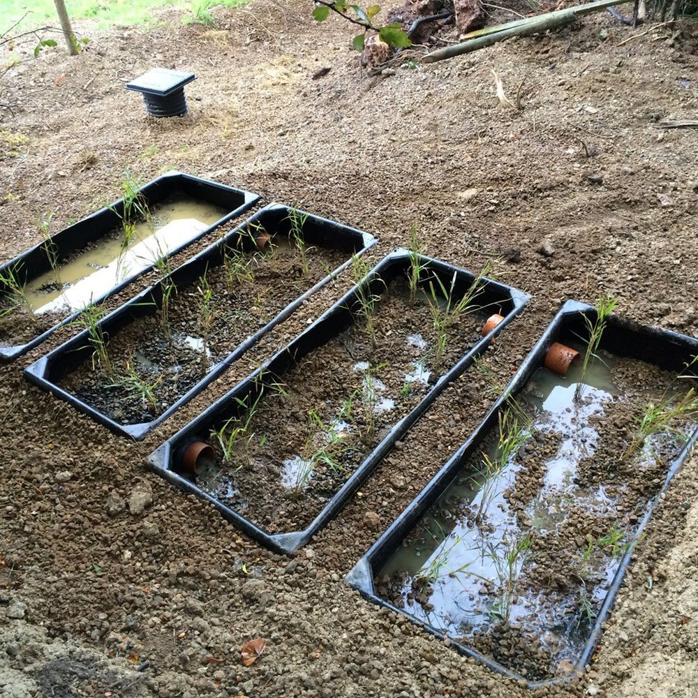 Rignel Hall - Bio-Pure and Reed Bed - The Septic Tank Store
